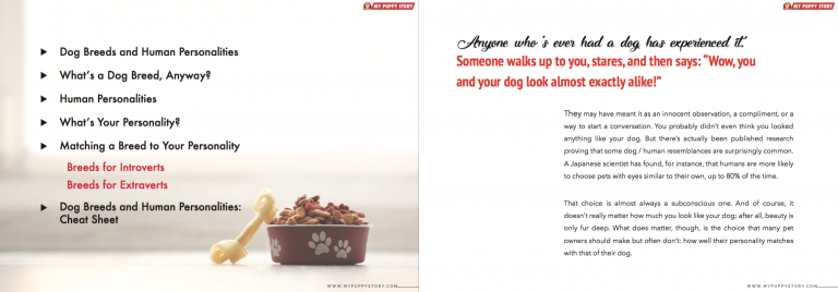 Dog Breeds vs Human Personalities - My Puppy Story