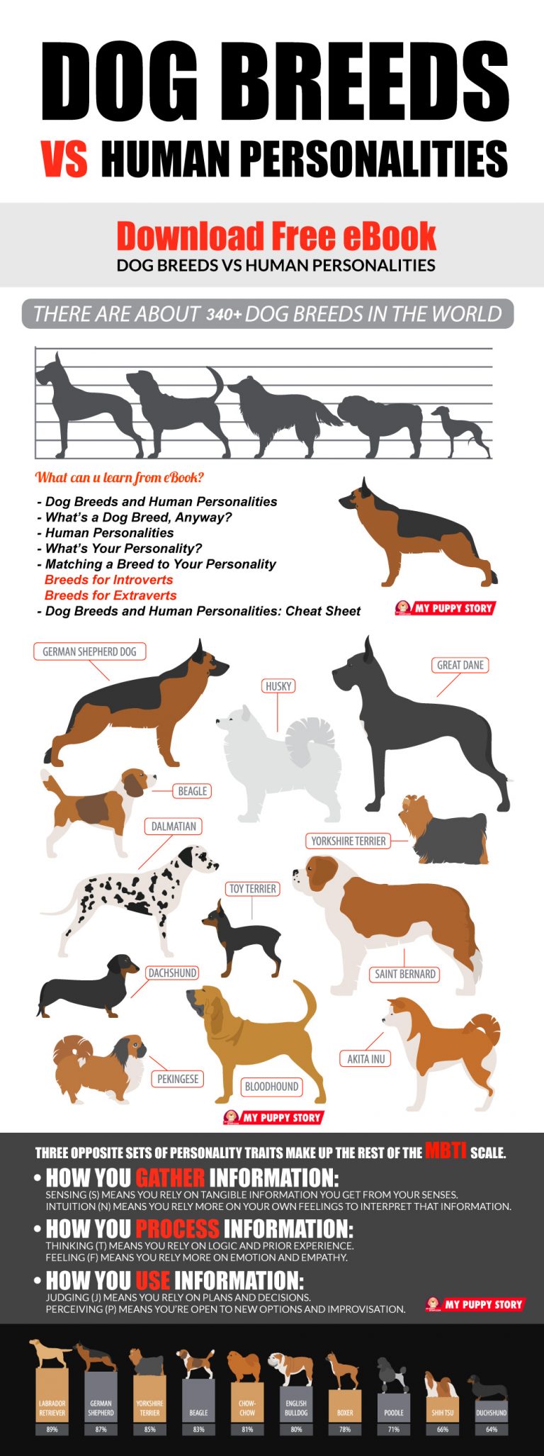 Dog Breeds vs Human Personalities - My Puppy Story
